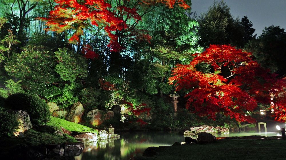 Shoren-in Temple Special Night Visits | Nipponderful.com
